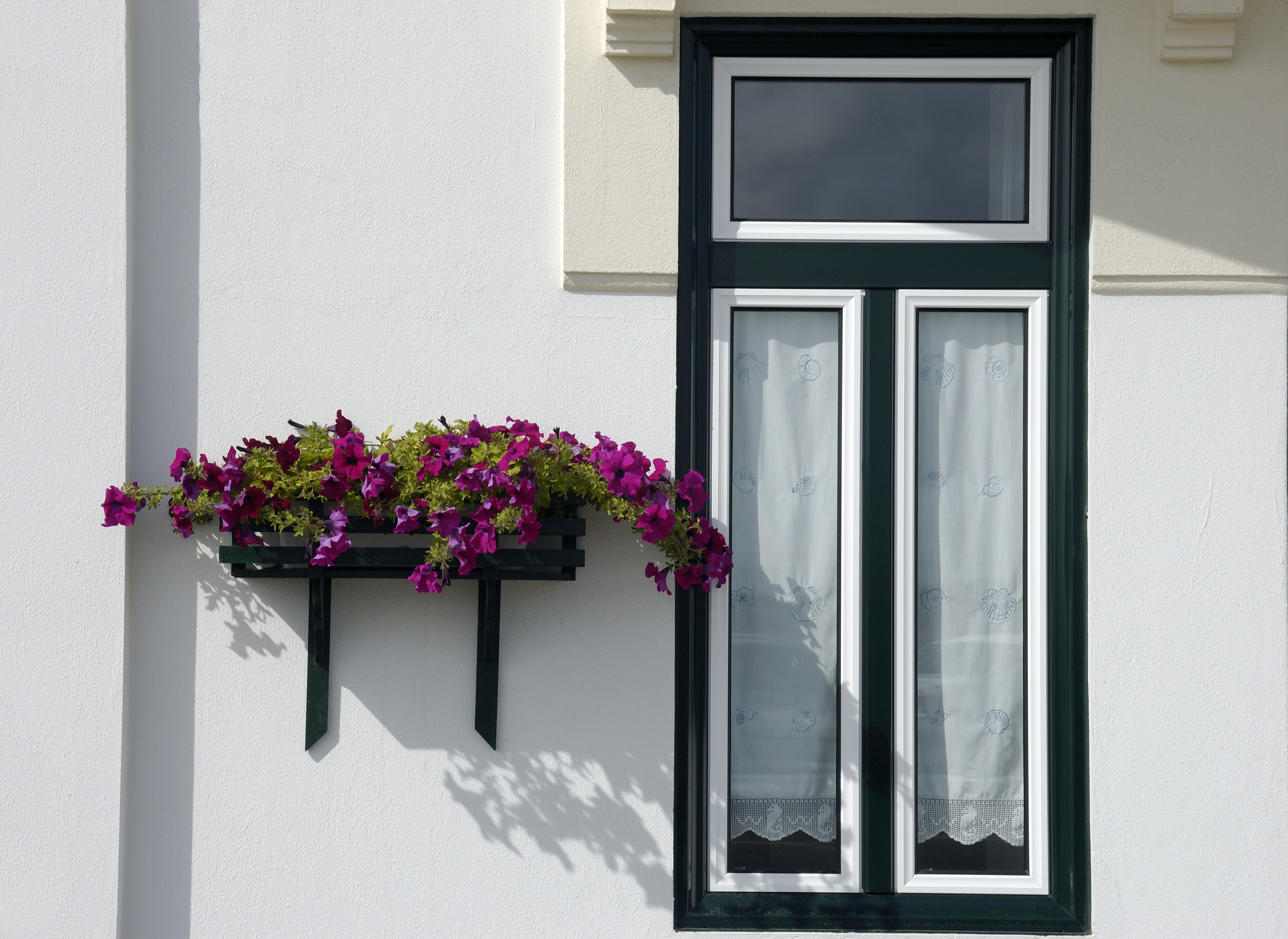 Window Colour Combination for Home’s Exterior : Birla Opus